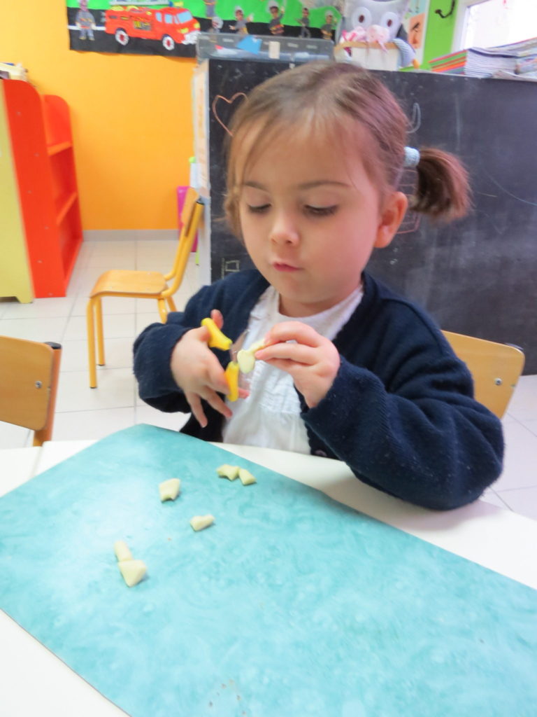 Le découpage en PS… – St Colomban – Saint Louis