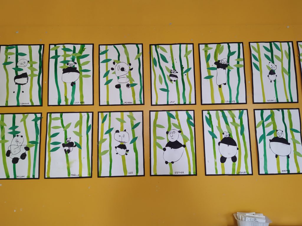 Forêt de bambou et bambou – St Colomban – Saint Louis